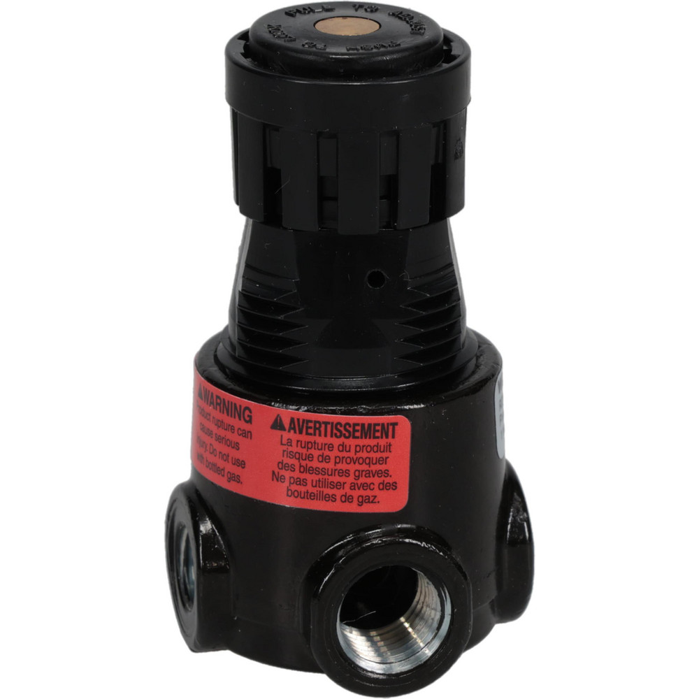 Wilkerson - Compressed Air Regulator: 1/4" NPT, 300 Max psi, Miniature ...