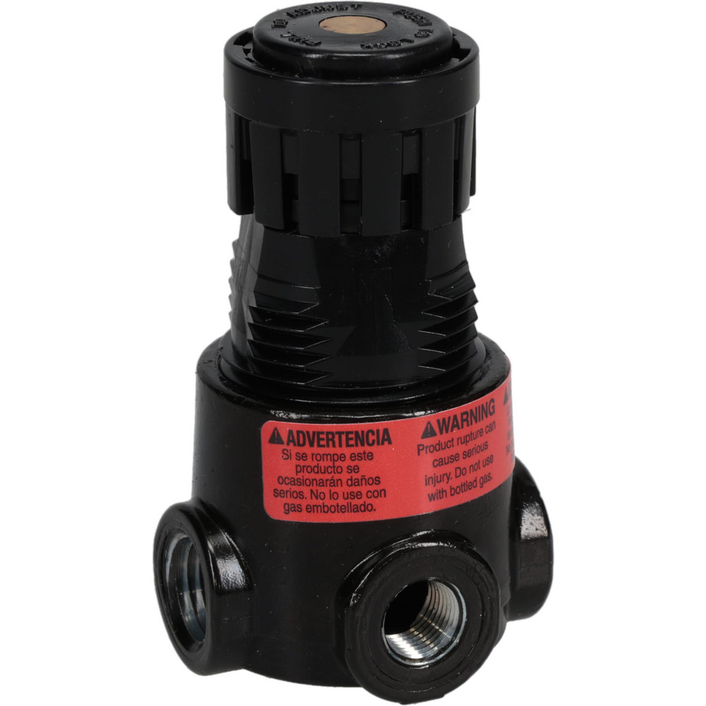 Wilkerson - Compressed Air Regulator: 1/4" NPT, 300 Max psi, Miniature ...