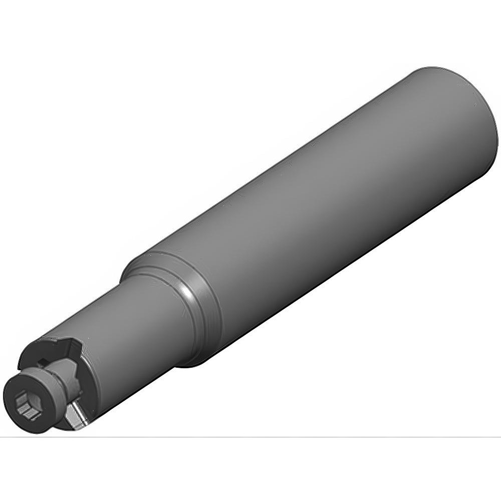 HORN - Replaceable Tip Milling Shanks: Shank Type: Cylindrical; Shank ...