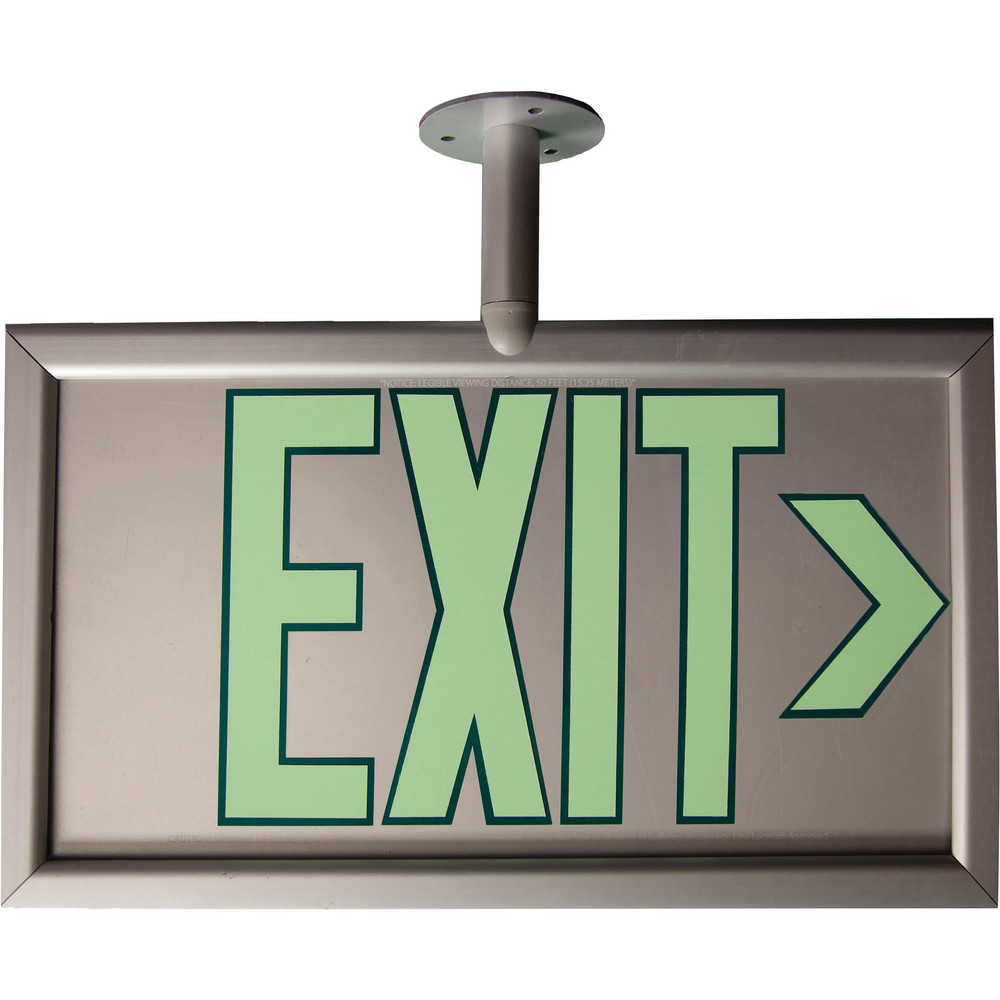 AbilityOne - Illuminated Exit Signs; 17-1/8X8-7/8 SILVER PHOTOLUM EXIT ...