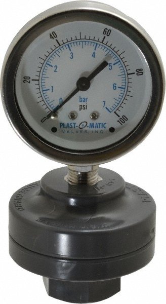 Plast-O-Matic - 100 Max psi, 2 Inch Dial Diameter, PVC Pressure Gauge ...