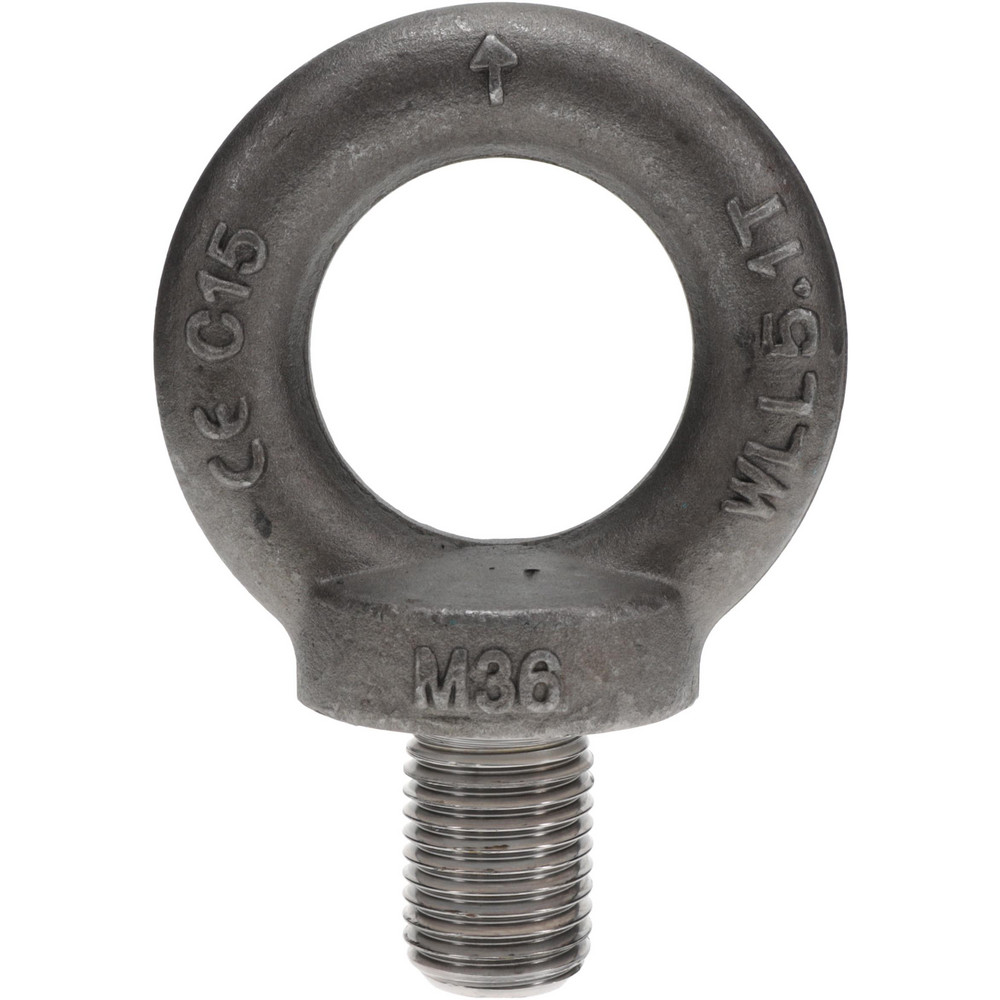 Value Collection - Fixed Lifting Eye Bolt: With Shoulder, M36 x 4.00 ...