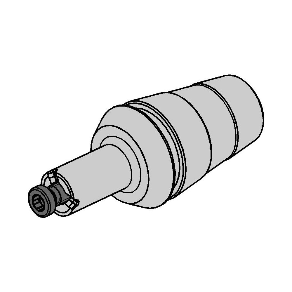 HORN - Replaceable Tip Milling Shanks: Shank Type: Cylindrical; Shank ...