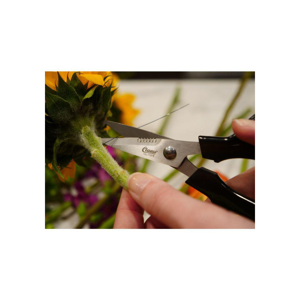 Clauss - Scissors: Stainless Steel Blade | MSC Direct