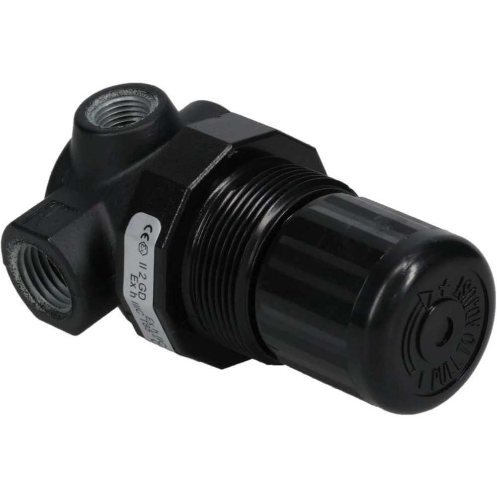 Norgren - Compressed Air Regulator: 1/4" NPT, 100 Max psi | MSC Direct