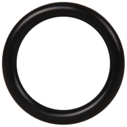 Rohm - Face Driver O-Ring | MSC Direct