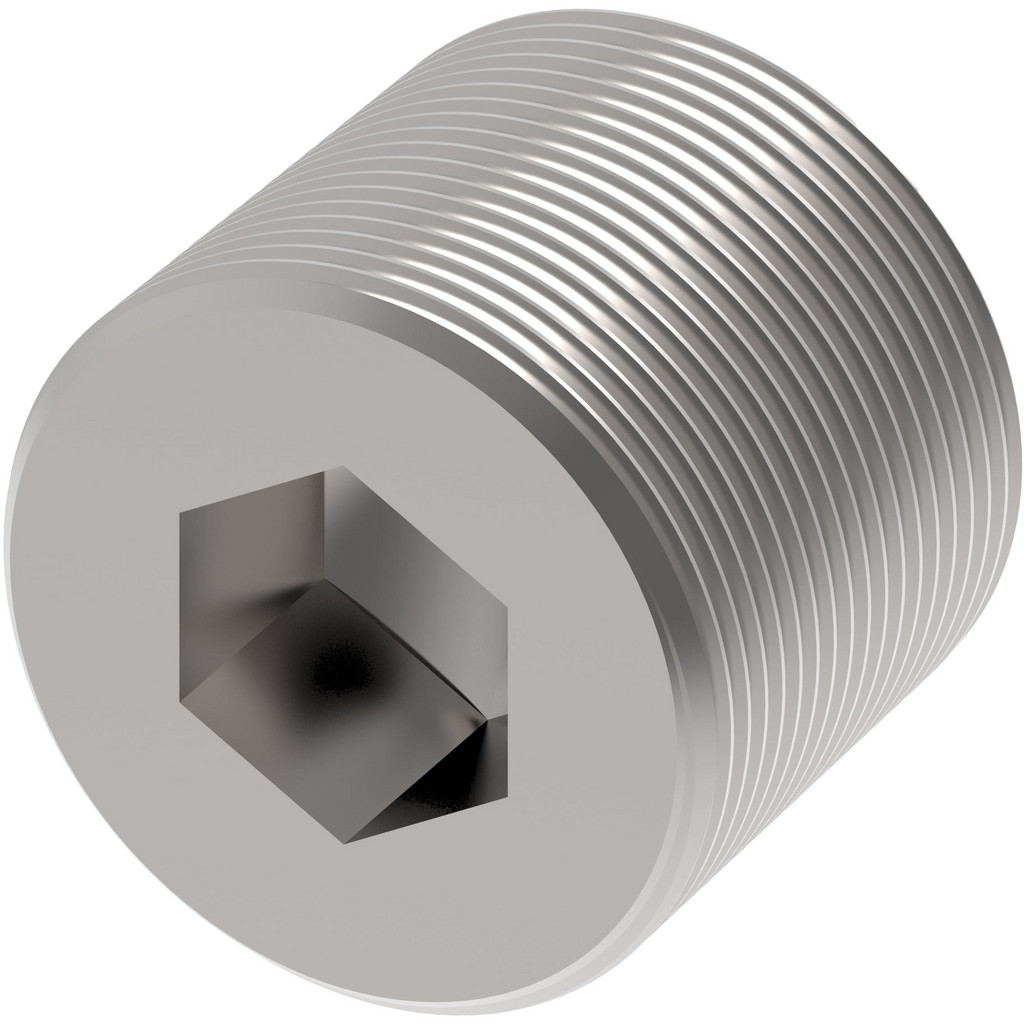 Danfoss - Industrial Pipe Hollow Hex Plug: 1/4" Male Thread, MNPT | MSC ...