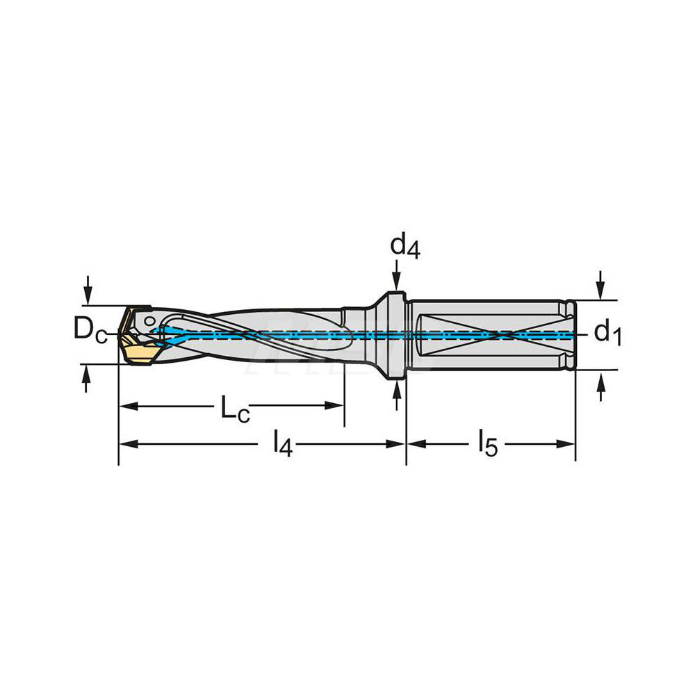 Walter - Replaceable-Tip Drill: 19 to 19.99 mm Dia, 60 mm Max Depth, 3/ ...