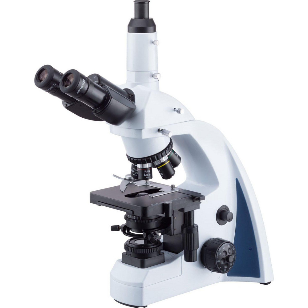 AmScope - 40X-1000X Plan Infinity Compound Microscope with LED Koehler Illumination and ...
