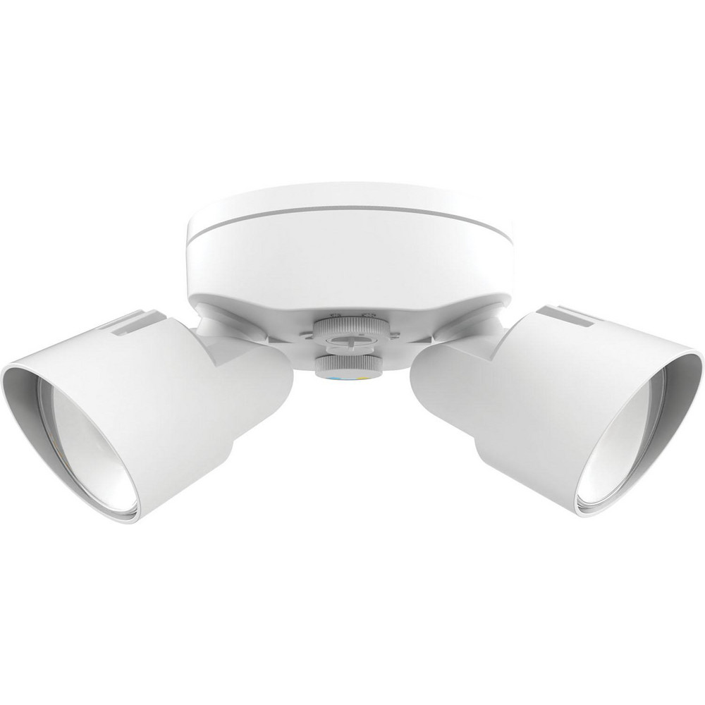 Lithonia Lighting - 2 Head 20 Watt 120 V LED Floodlight Fixture | MSC ...