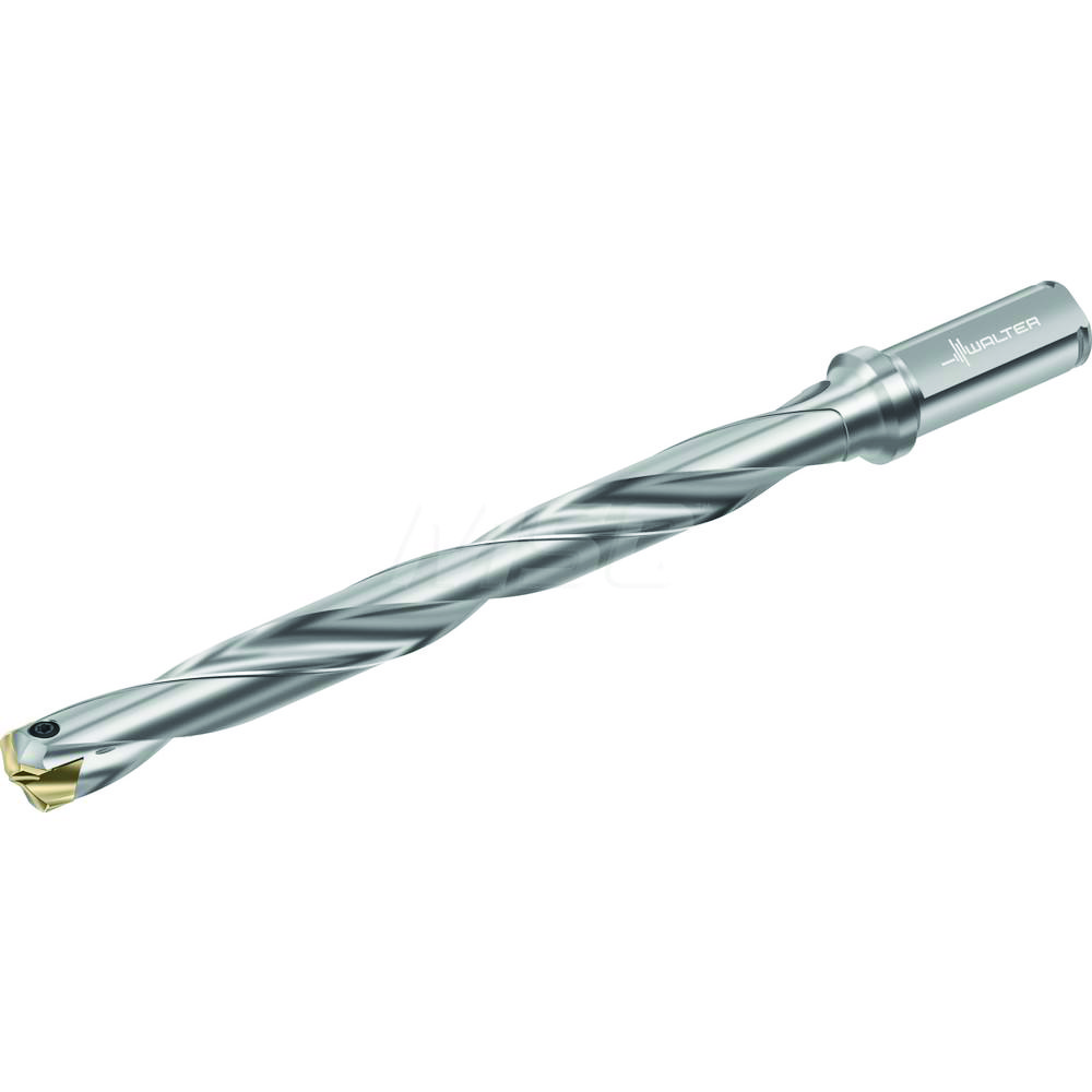 Walter - Replaceable-Tip Drill: 16 to 17.99 mm Dia, 160 mm Max Depth ...