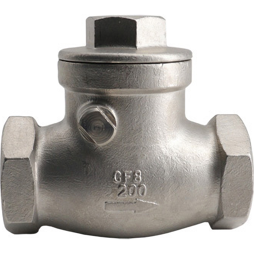 Guardian Worldwide - Check Valve: 2" Pipe | MSC Direct