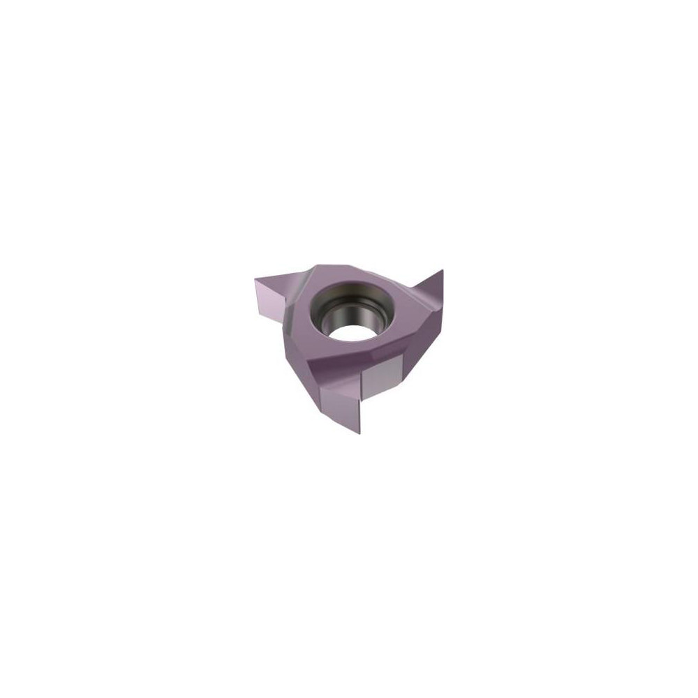 Seco - Laydown Threading Insert: 16NRAG55 TTP2050, Carbide | MSC Direct