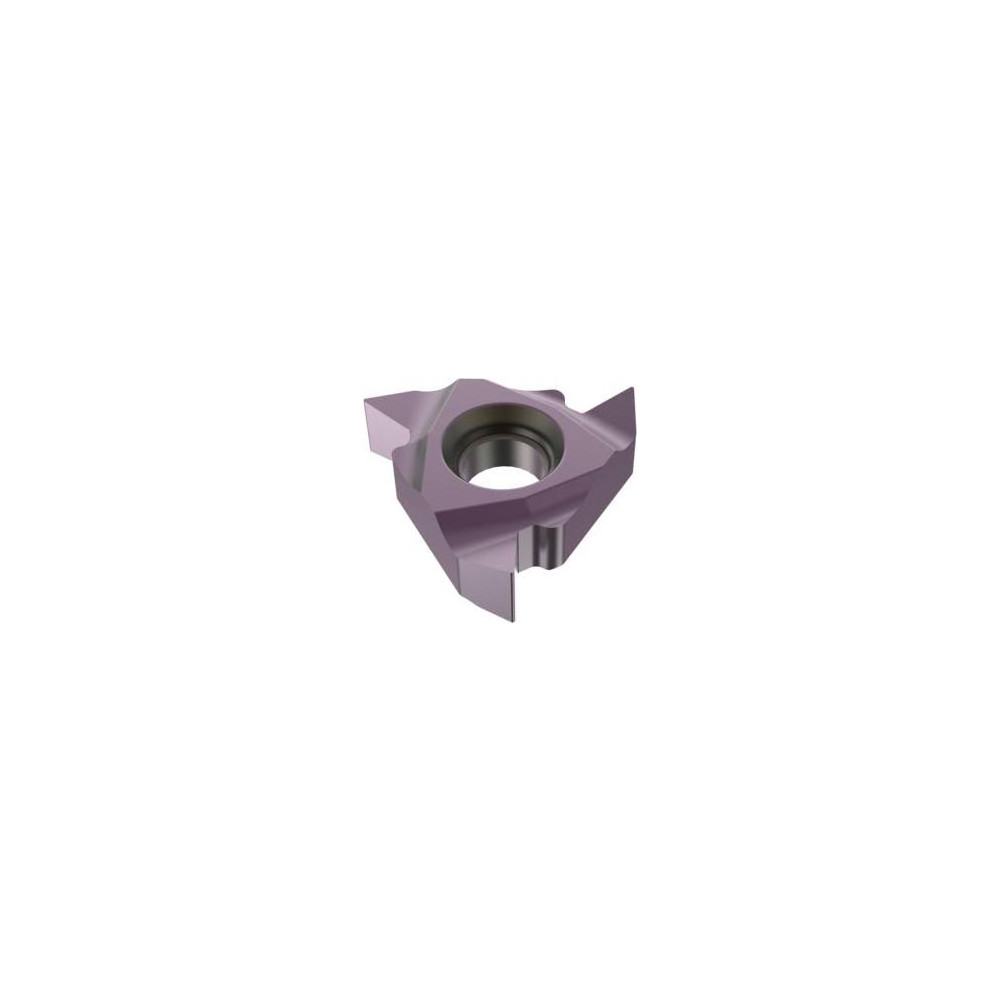 Seco - Laydown Threading Insert: 16NRG55 TTP2050, Carbide | MSC Direct