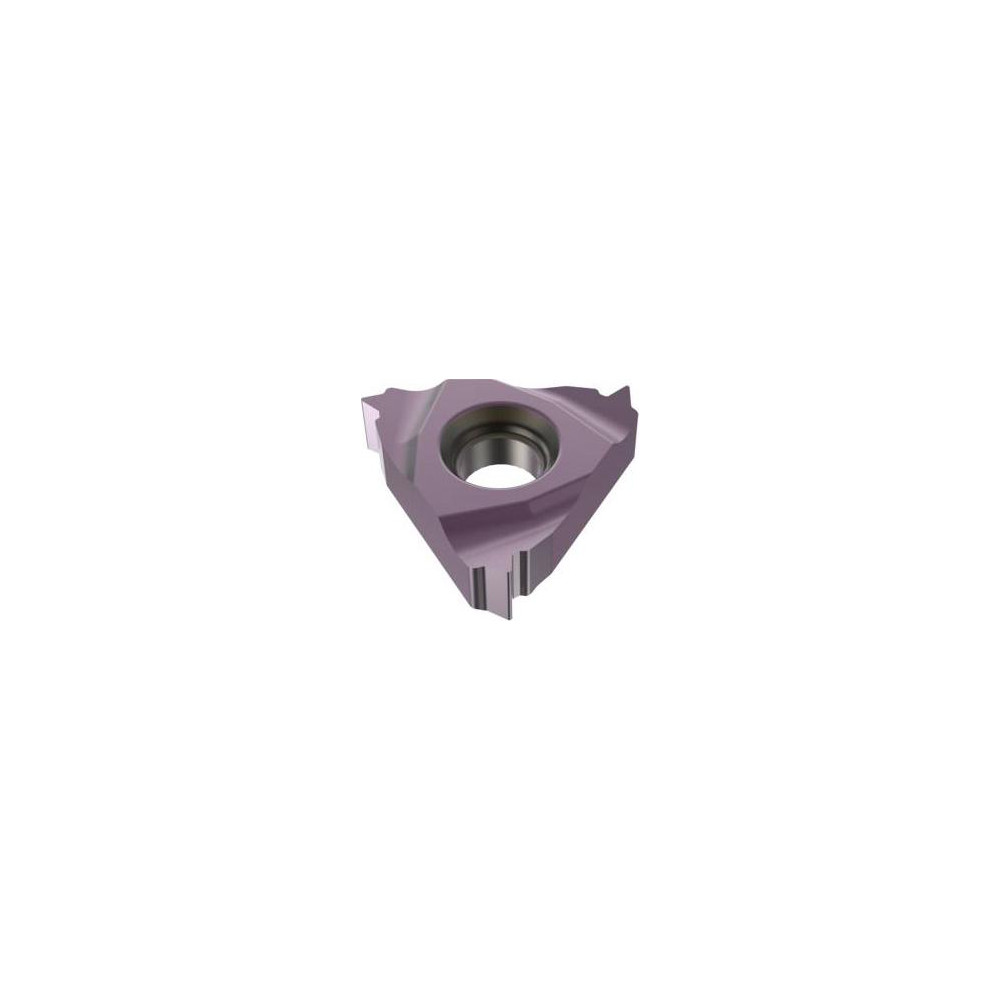 Seco - Laydown Threading Insert: 16NR14UN TTP2050, Carbide | MSC Direct