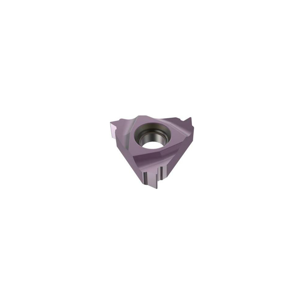 Seco - Laydown Threading Insert: 16NR12UN TTP2050, Carbide | MSC Direct