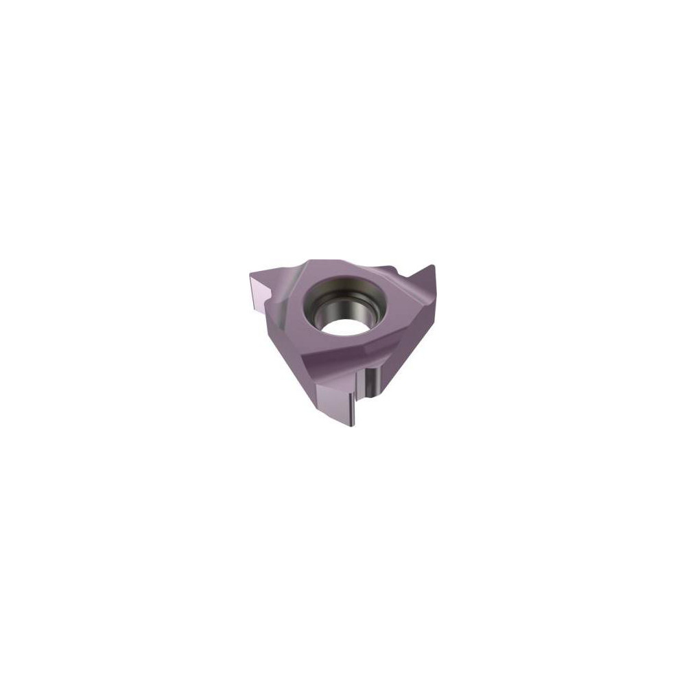 Seco - Laydown Threading Insert: 16NR8UN TTP2050, Carbide | MSC Direct