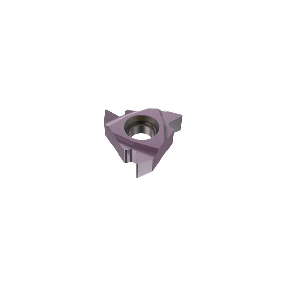 Seco - Laydown Threading Insert: 16ERG60 TTP2050, Carbide | MSC Direct