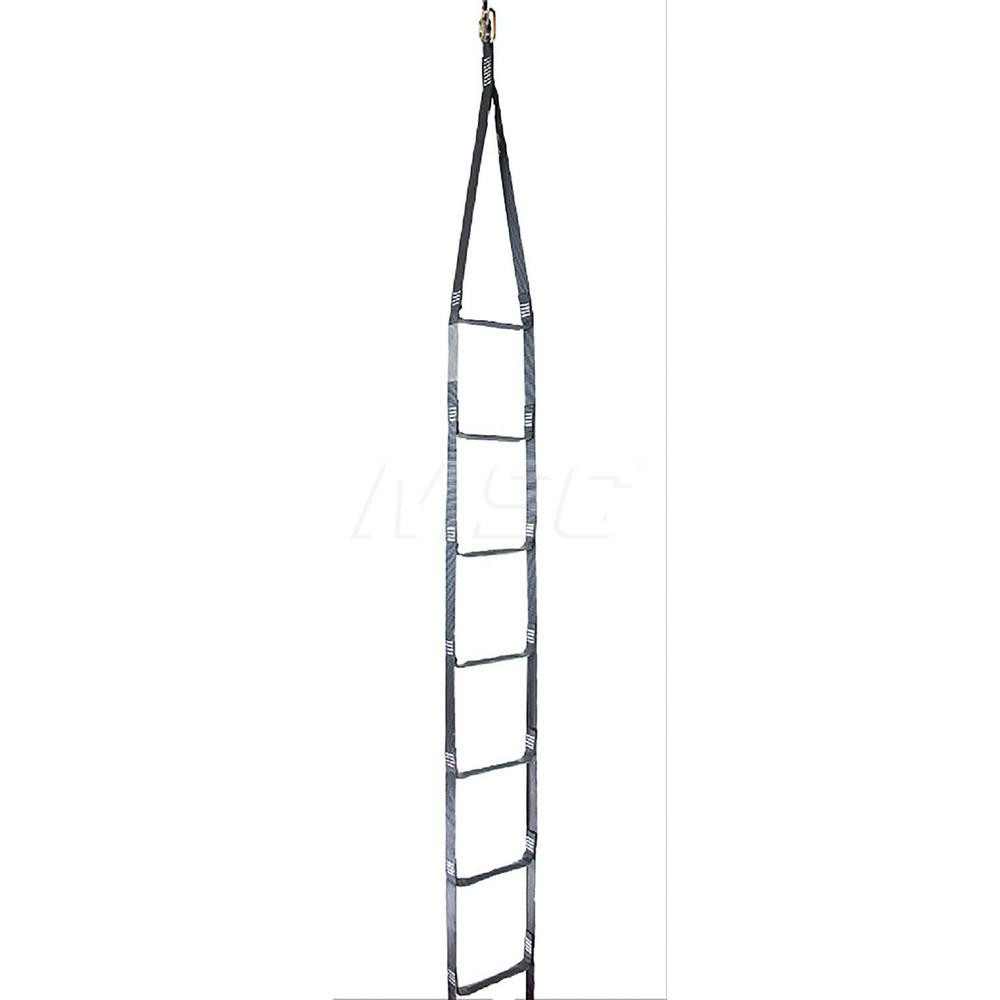 Werner - Fall Protection Rescue Ladder | MSC Direct