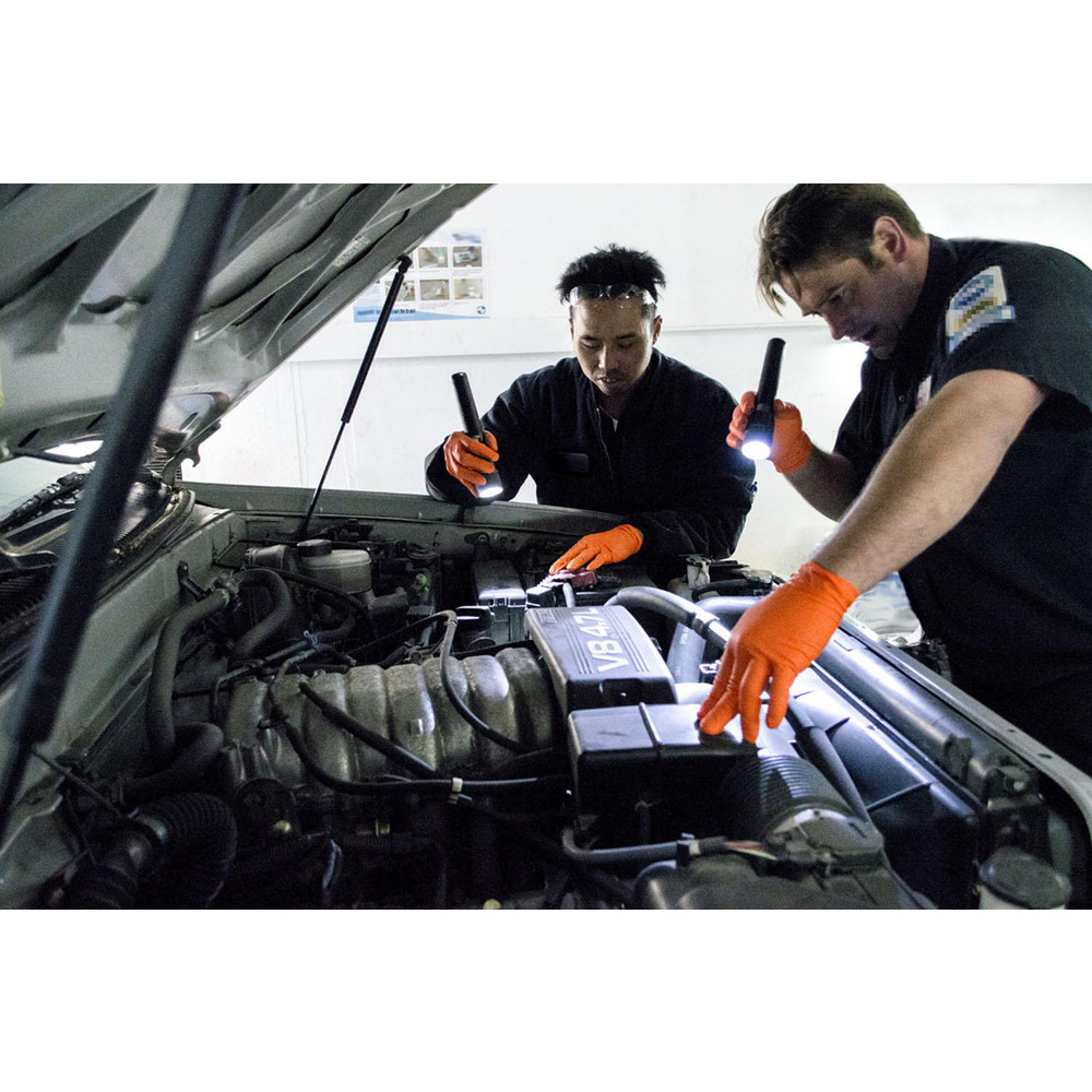 Gloveworks - Disposable Glove: Series GWON, Size 2X-Large, 8.0 mil ...