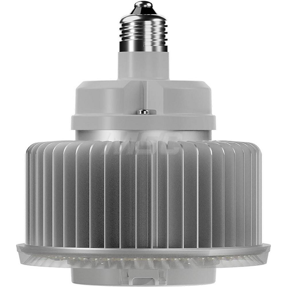 Filamento - LED Commercial & Industrial Lamp: 30 Watts, LED, E26 Base ...