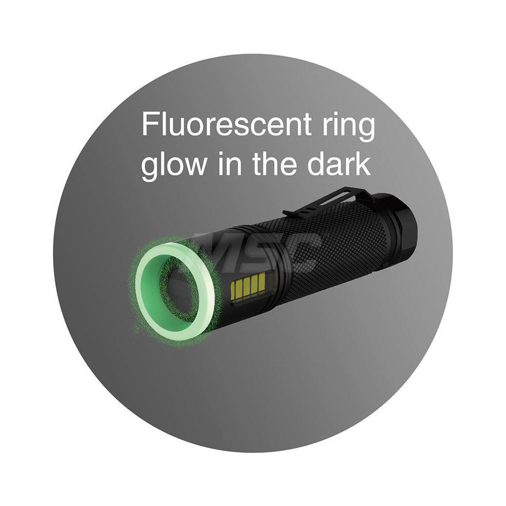 PRO-SAFE - Flashlight / Worklight Flashlight | MSC Direct