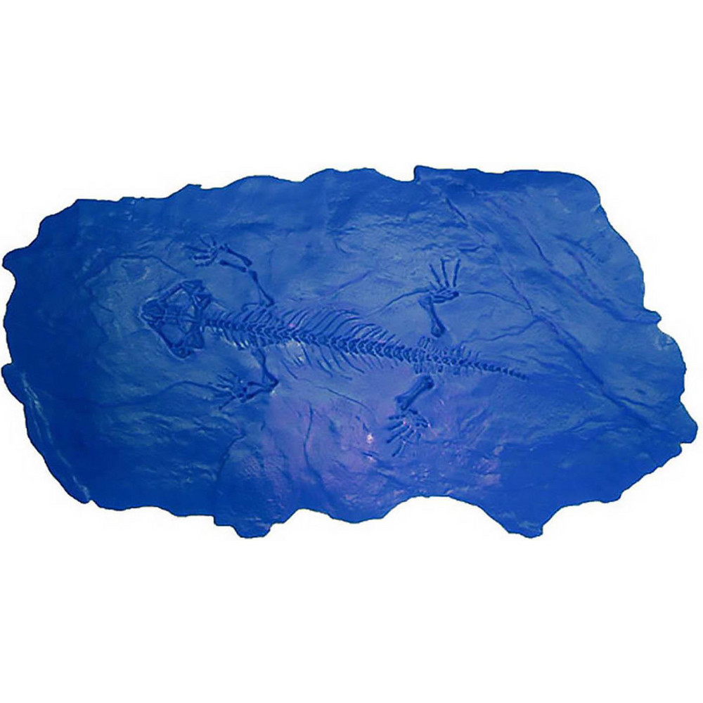 Bon Tool - PROTOCOLPHON BLU FOSSIL STAMP | MSC Direct