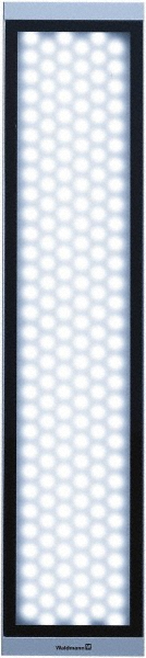 Waldmann Lighting - 24 VDC, 32 Watt, LED, Linear Machine Light | MSC Direct