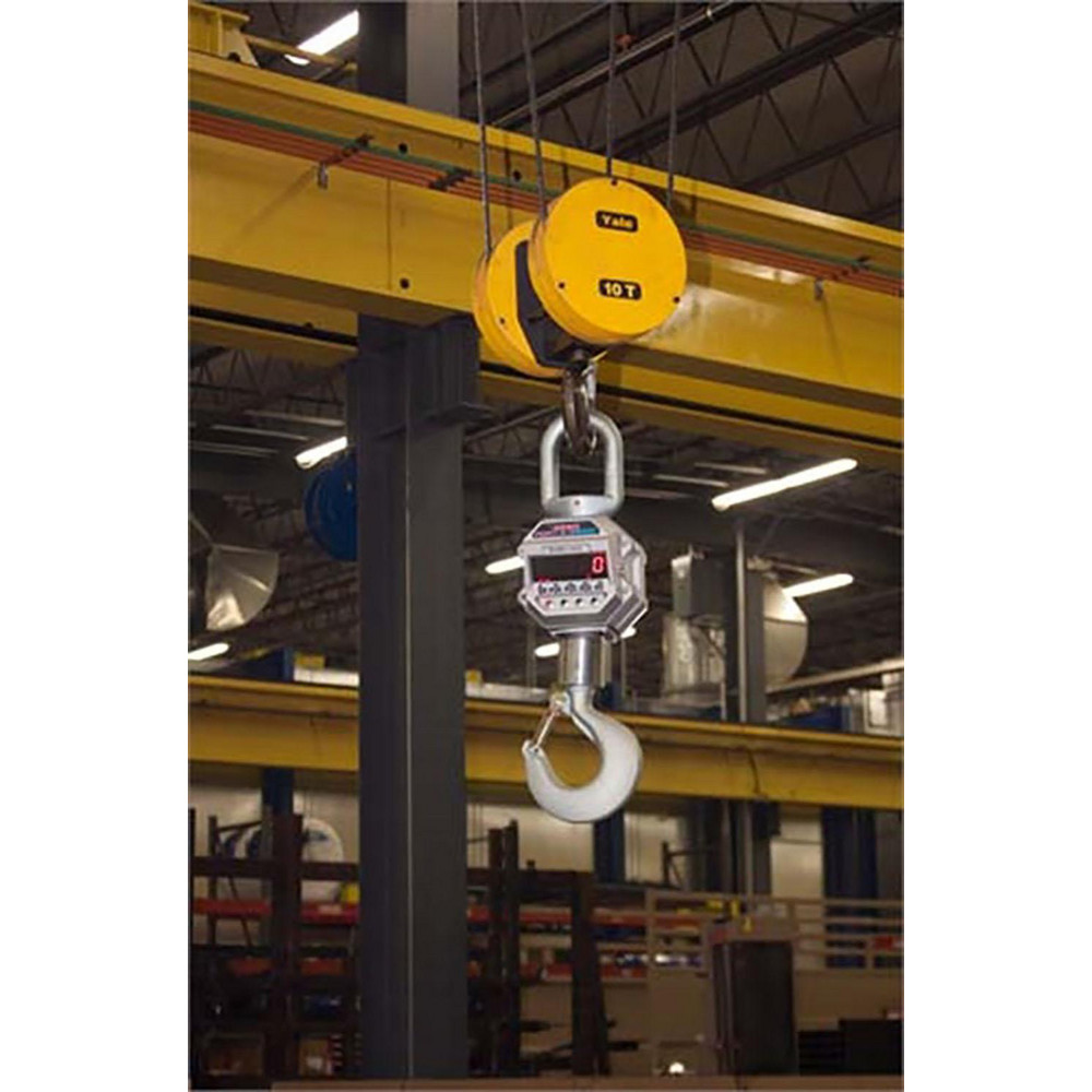 Rice Lake Weighing Systems - Crane Scales & Hanging Scales: Type: Crane ...