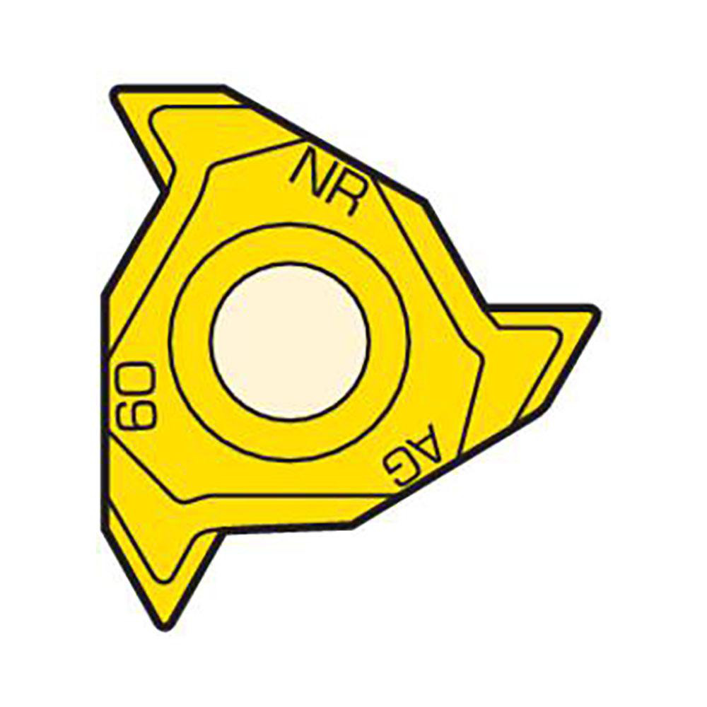 Seco - Laydown Threading Insert: 16NRAG60-A1 CP500, Carbide | MSC Direct