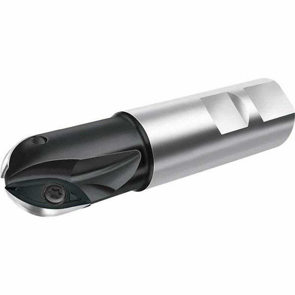 Walter - Indexable Ball Nose End Mill: 1" Cut Dia, Steel, 3.825" OAL ...