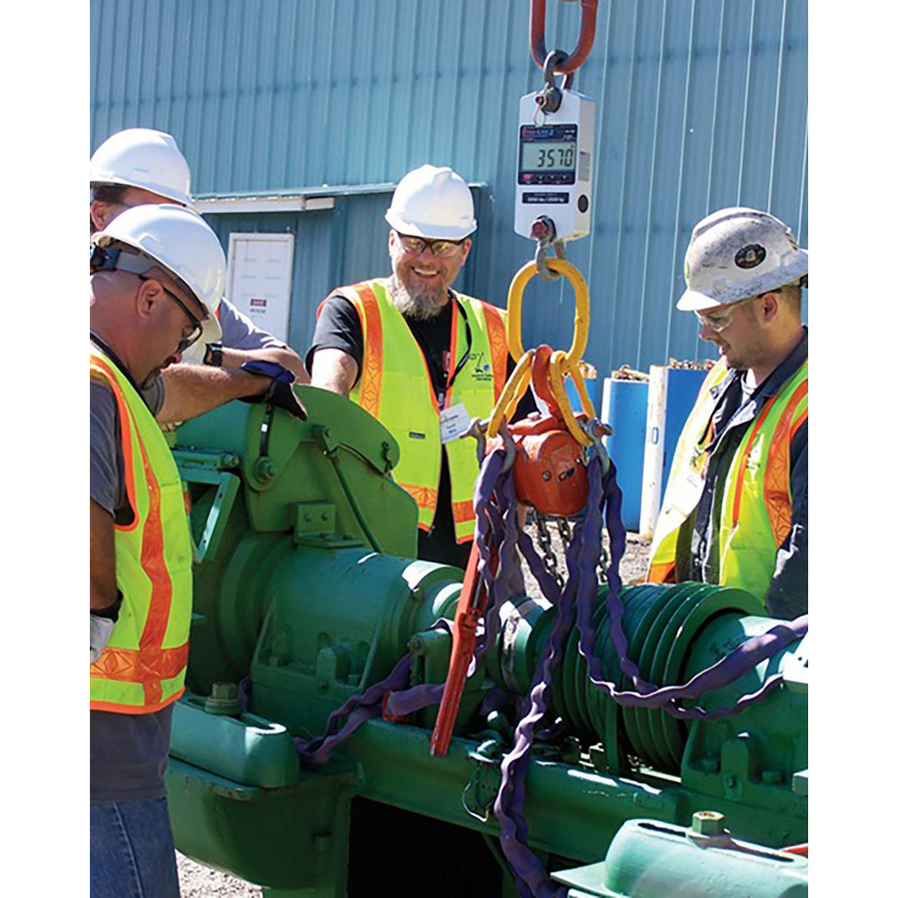 Rice Lake Weighing Systems - Crane Scales & Hanging Scales: Dynamometer ...