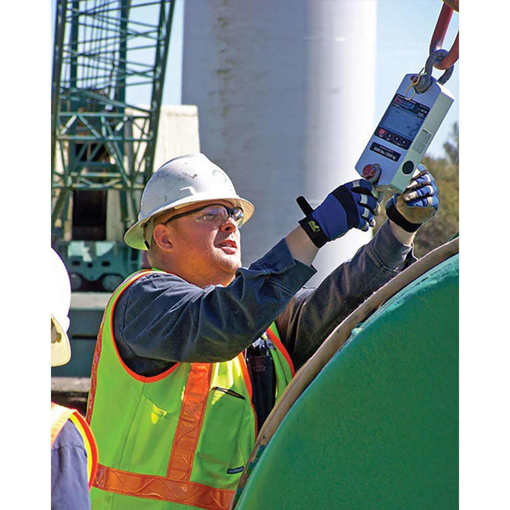 Rice Lake Weighing Systems - Crane Scales & Hanging Scales: Dynamometer ...