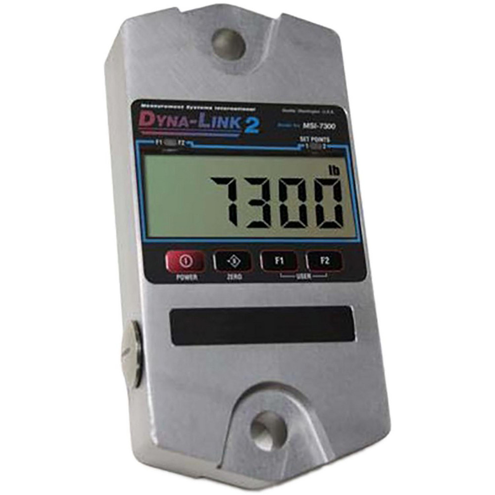 Rice Lake Weighing Systems - Crane Scales & Hanging Scales: Dynamometer ...