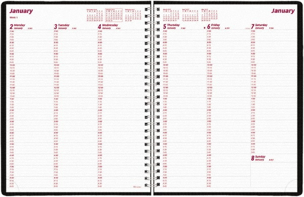Brownline - Weekly Planner: 26 Sheets, 3-1/4 x 6-1/4" Sheet, Planner ...