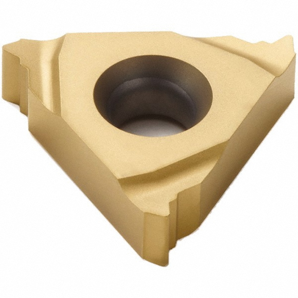 Seco - Laydown Threading Insert: 16EL1.0MJ CP200, Carbide | MSC Direct