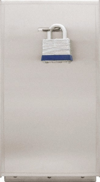 Aiphone - Security Camera Lock Box | MSC Direct