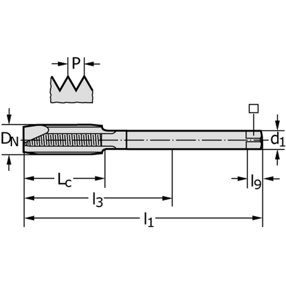 Walter-Prototyp - Spiral Point Tap: M48x5 Metric, 4 Flutes, Plug ...