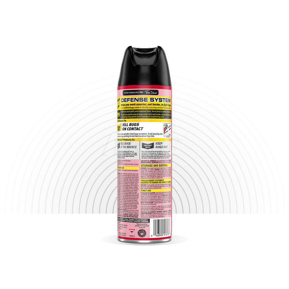 Raid - Raid Ant and Roach Killer Insecticide Aerosol Spray, Outdoor ...