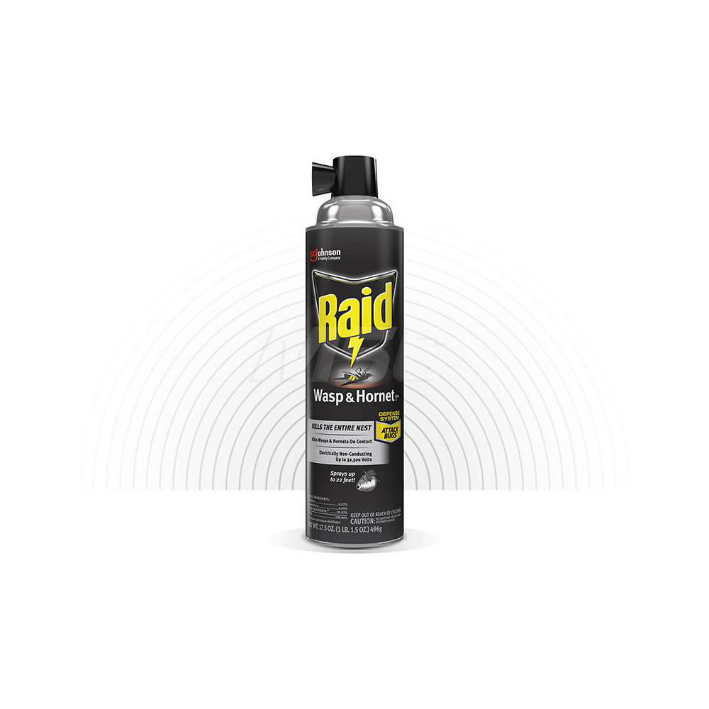 Raid - Raid Wasp & Hornet Killer Insecticide Aerosol Spray, 14 oz | MSC ...