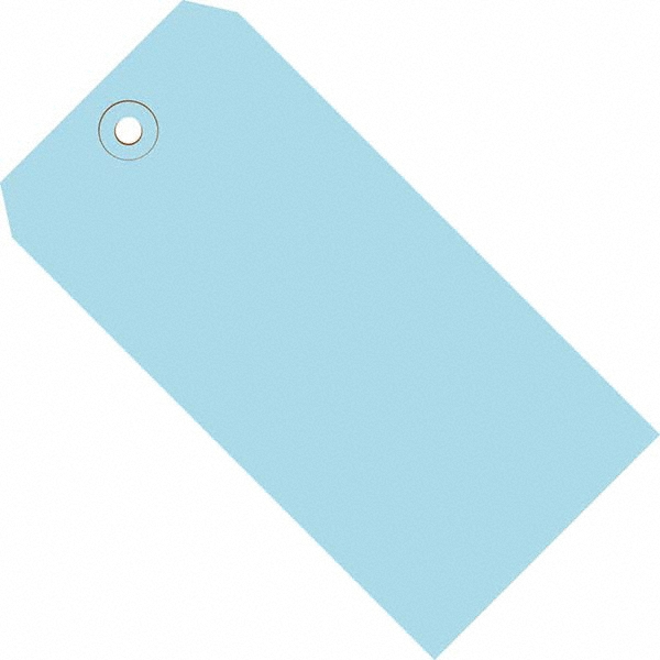 Value Collection - Blank Tag: 5-1/4'' High, Light Blue, Synthetic Paper ...