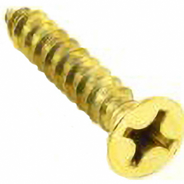 Hager - #12 Brass Hinge Screws | MSC Direct