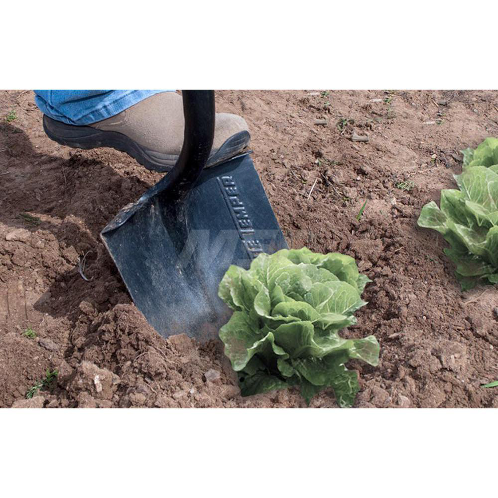 Ames True Temper - 10-5/8" High, Round Steel Shovel | MSC Direct