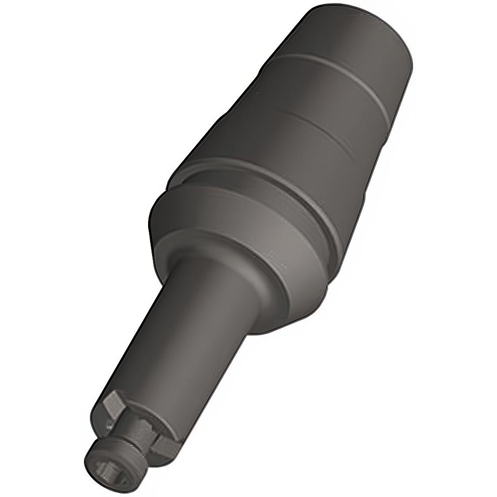 HORN - Replaceable Tip Milling Shanks: Shank Type: Cylindrical; Shank ...