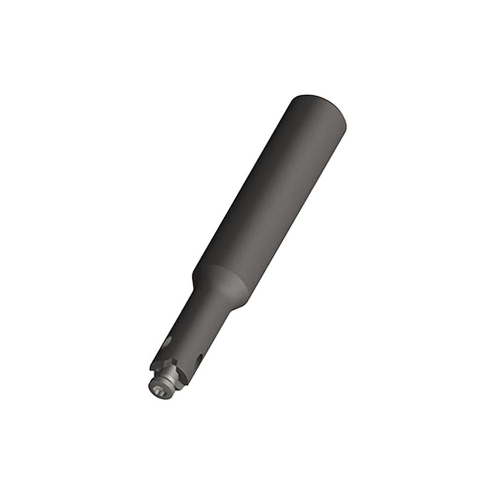 HORN - Replaceable Tip Milling Shanks: Shank Type: Cylindrical; Shank ...