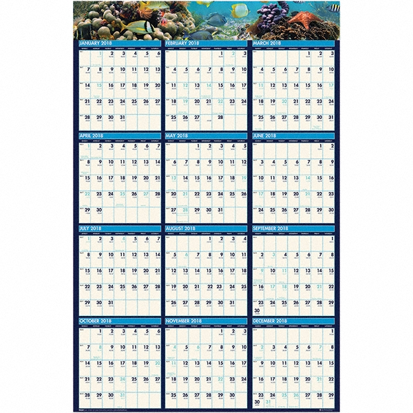 House of Doolittle - 24X37" SEA LIFE WALL CALENDAR | MSC Direct
