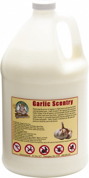 Bare Ground Solutions - Garlic Scentry Gallon Bottle Garlic Concentrate ...