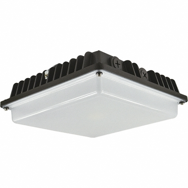 Eiko Global - 40 Watt LED Entry Light | MSC Direct