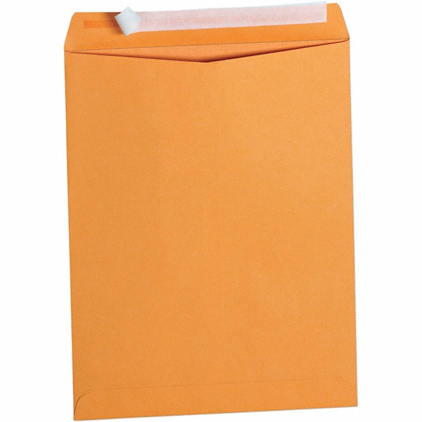 Universal One - Kraft Catalog Mailing Envelope: 10.13" Wide, 4" Long ...