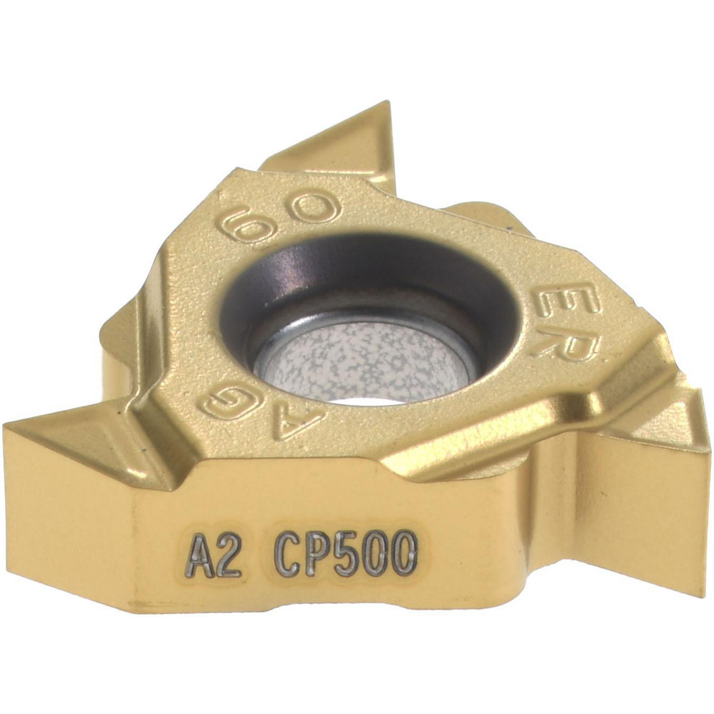 Seco - Laydown Threading Insert: 16ERAG60-A2 CP500, Carbide | MSC Direct